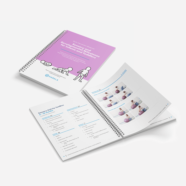 Early Intervention Blueprint Workbook