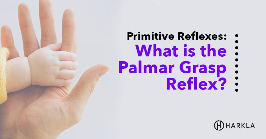 What is the Palmar Grasp Reflex?