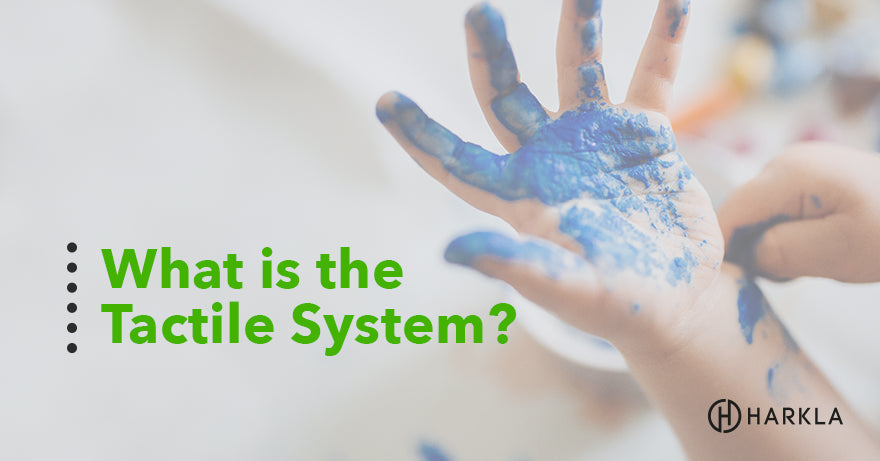 What Is the Tactile System? Understanding Your Sense of Touch