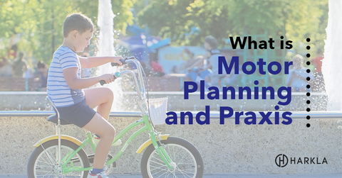 What is Motor Planning and Praxis?